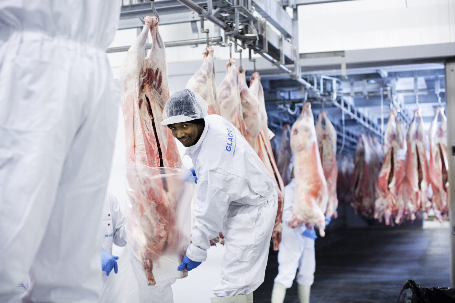 Freezing and Tempering - Constellation Cold Logistics